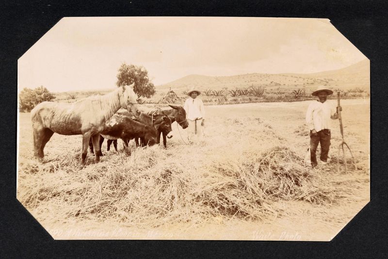 Amazing Pics That Document Everyday Life of Mexico in 1902 | Vintage ...