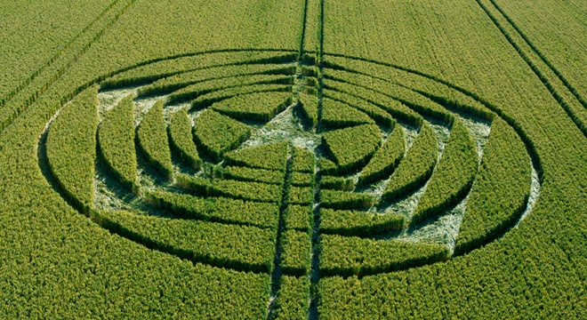 VIGILADOS DEL UNIVERSO: Crop Circles. Círculos de las Cosechas 2014