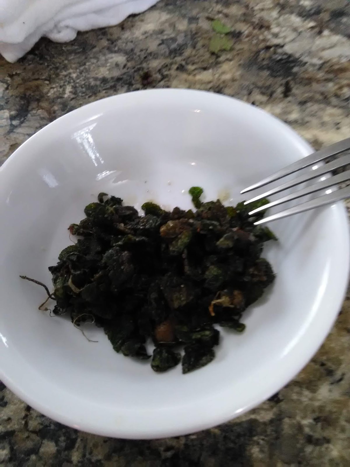 Simply Homemaking: Spring Beauty tubers and Red Henbit - a little ...