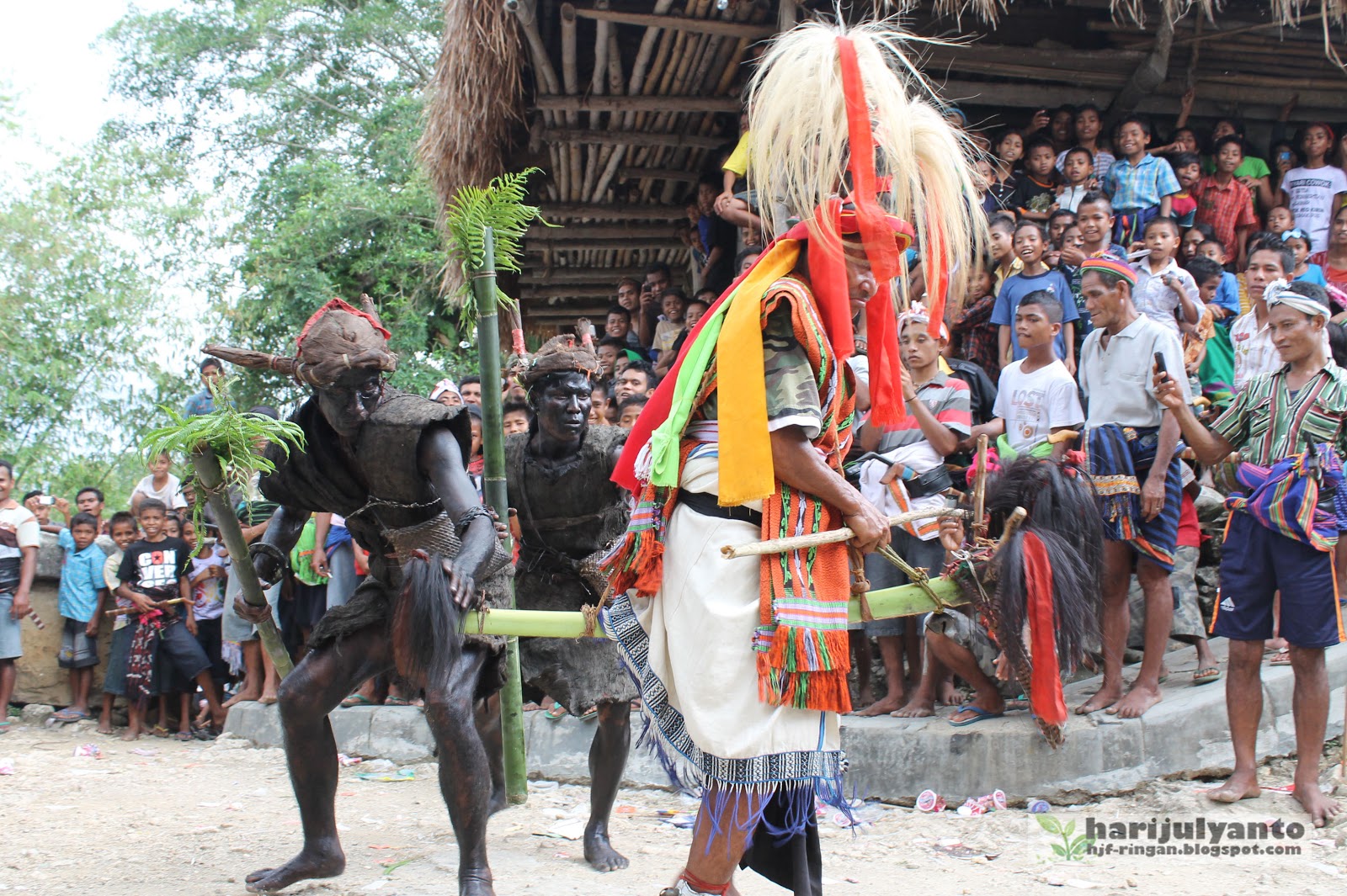 Ringan: Kalango dan Njara ( Ritual Marapu Wula Poddu ) Bondomaroto