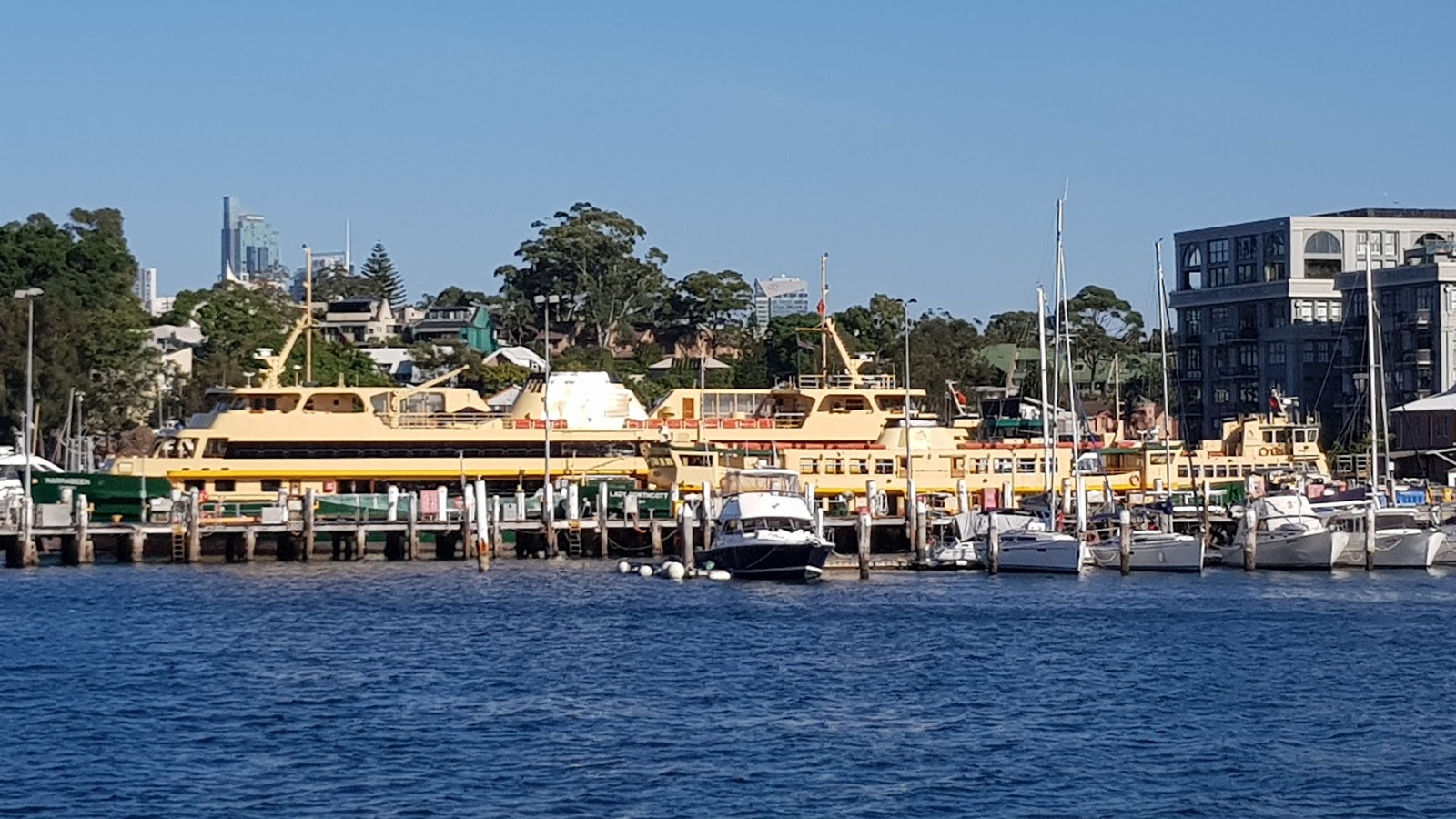 Sydney - City and Suburbs: Balmain, shipyard