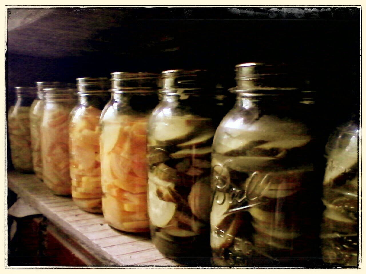 Home-Made-Home: Canning Summer Squash.