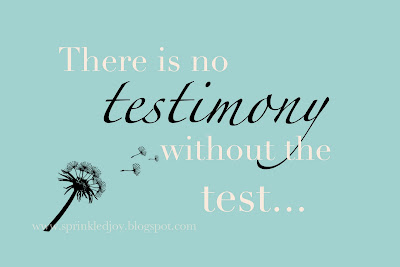 sprinkled joy: There is No Testimony without the Test