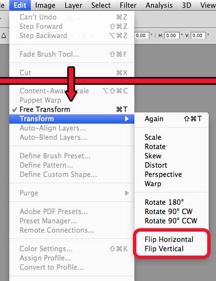 The Free Transform / Transform Commands - Photoshop CS5 Tutorial