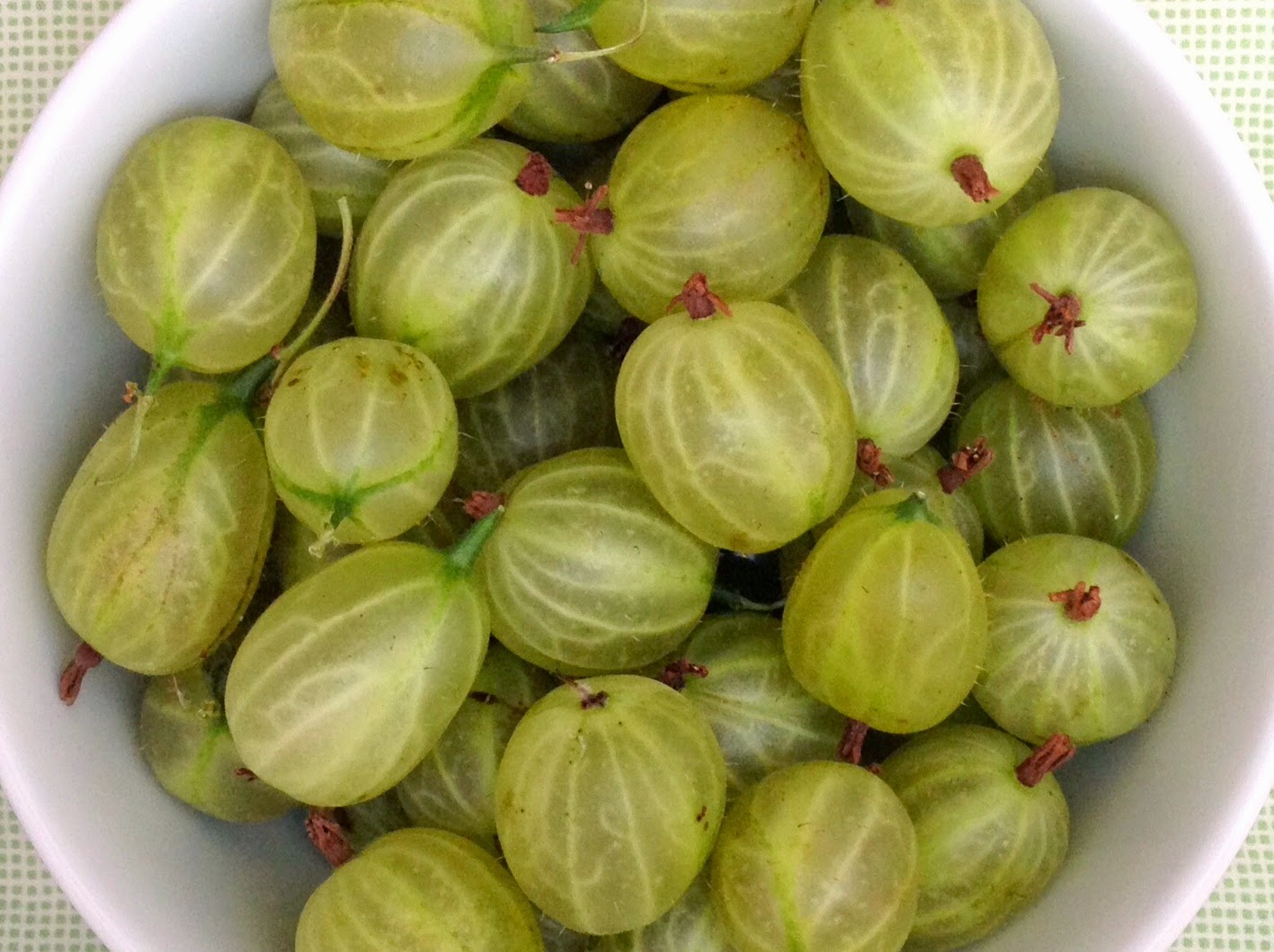 Jolly Hockey Sticks!: more gorgeous gooseberries