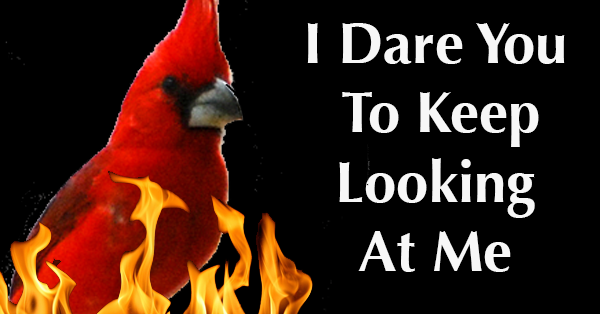 Woeful Nats: The Cardinals Are Evil, The Nats Lose