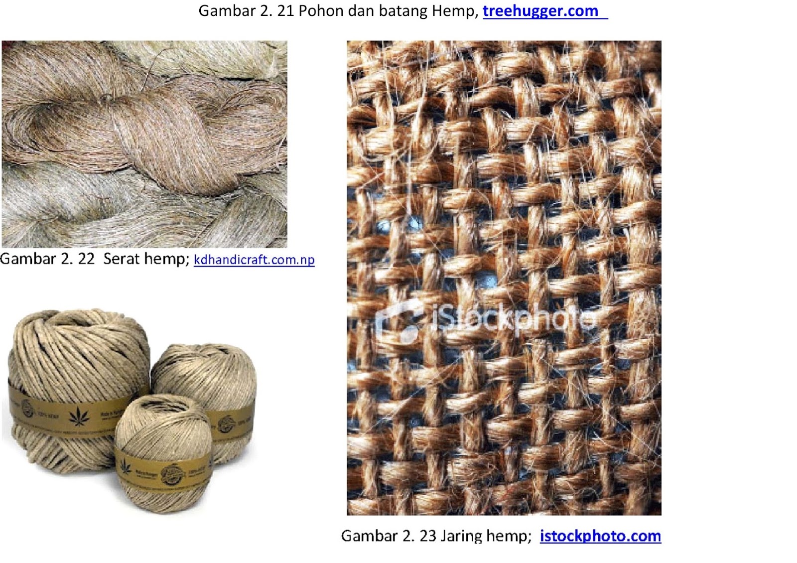 Bahan Alat Penangkap Ikan Dari Serat Alami Tumbuhan - Lalaukan