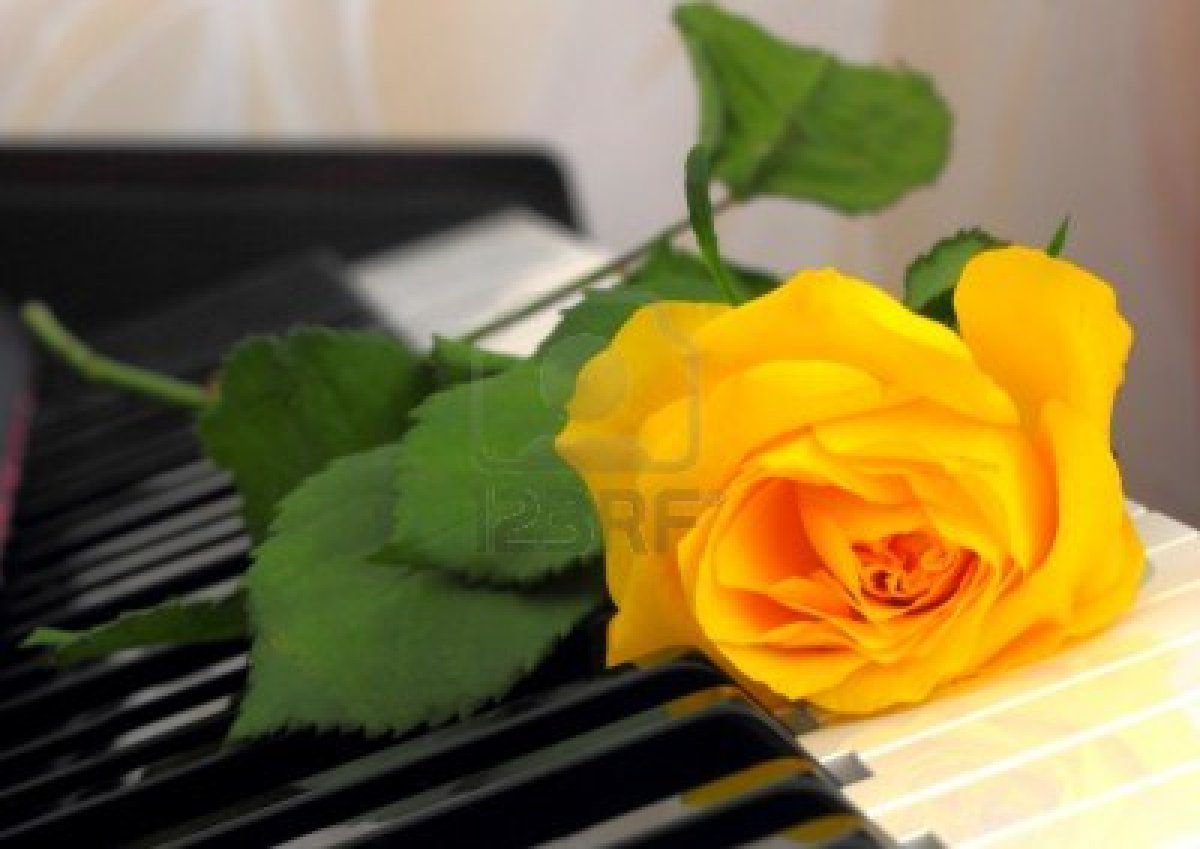 Farhana Zukri: 466#Ai no Kotoba ~ Makna Di Sebalik Warna Bunga Ros