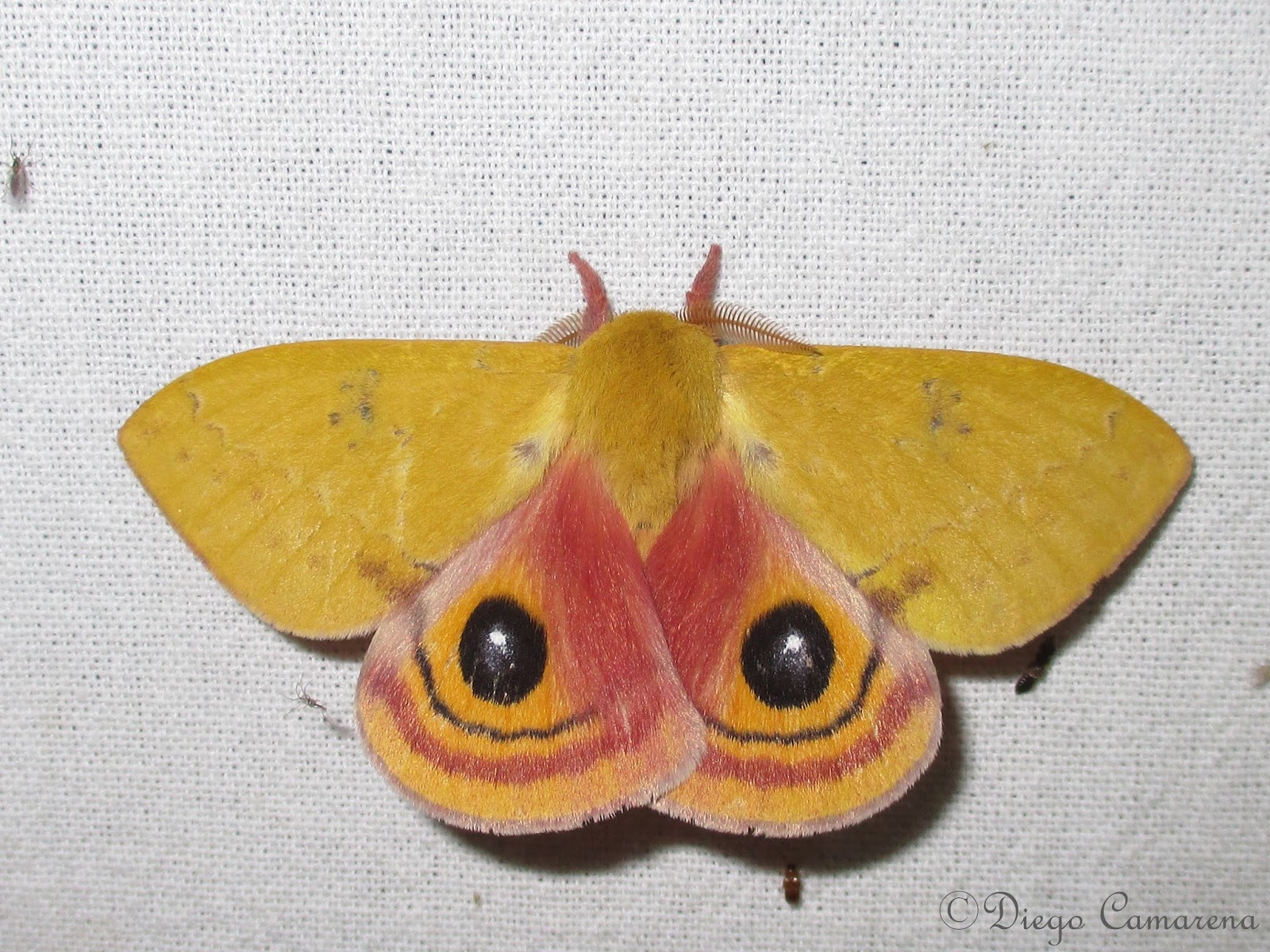 Fotografías de naturaleza