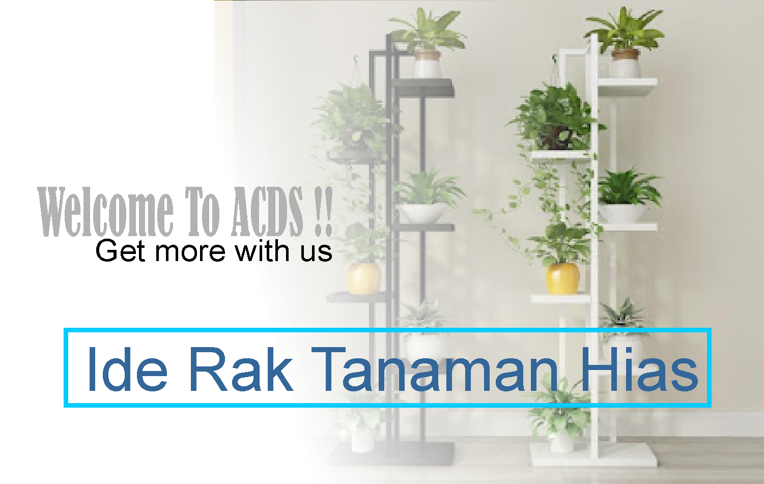 24+ Rak Besi Untuk Tanaman Hias, Spesial!