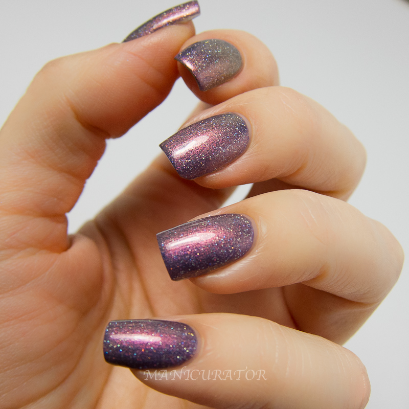 Dandy Nails Winter Collection and more! Swatches and Reviews