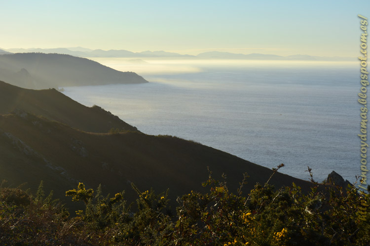 De todo un poco y alguna cosa más: Bruma