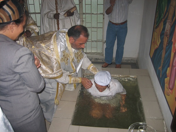 Panorthodox Synod : ΣΥΝΕΝΤΕΥΞΗ ΤΟΥ ΜΗΤΡΟΠΟΛΙΤΟΥ ΝΙΓΗΡΙΑΣ ΑΛΕΞΑΝΔΡΟΥ ...