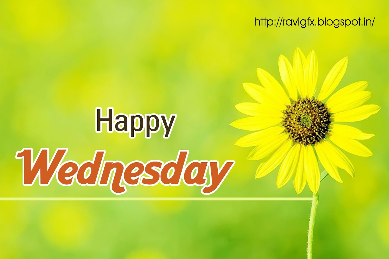 Happy Wednesday happy-wednesday