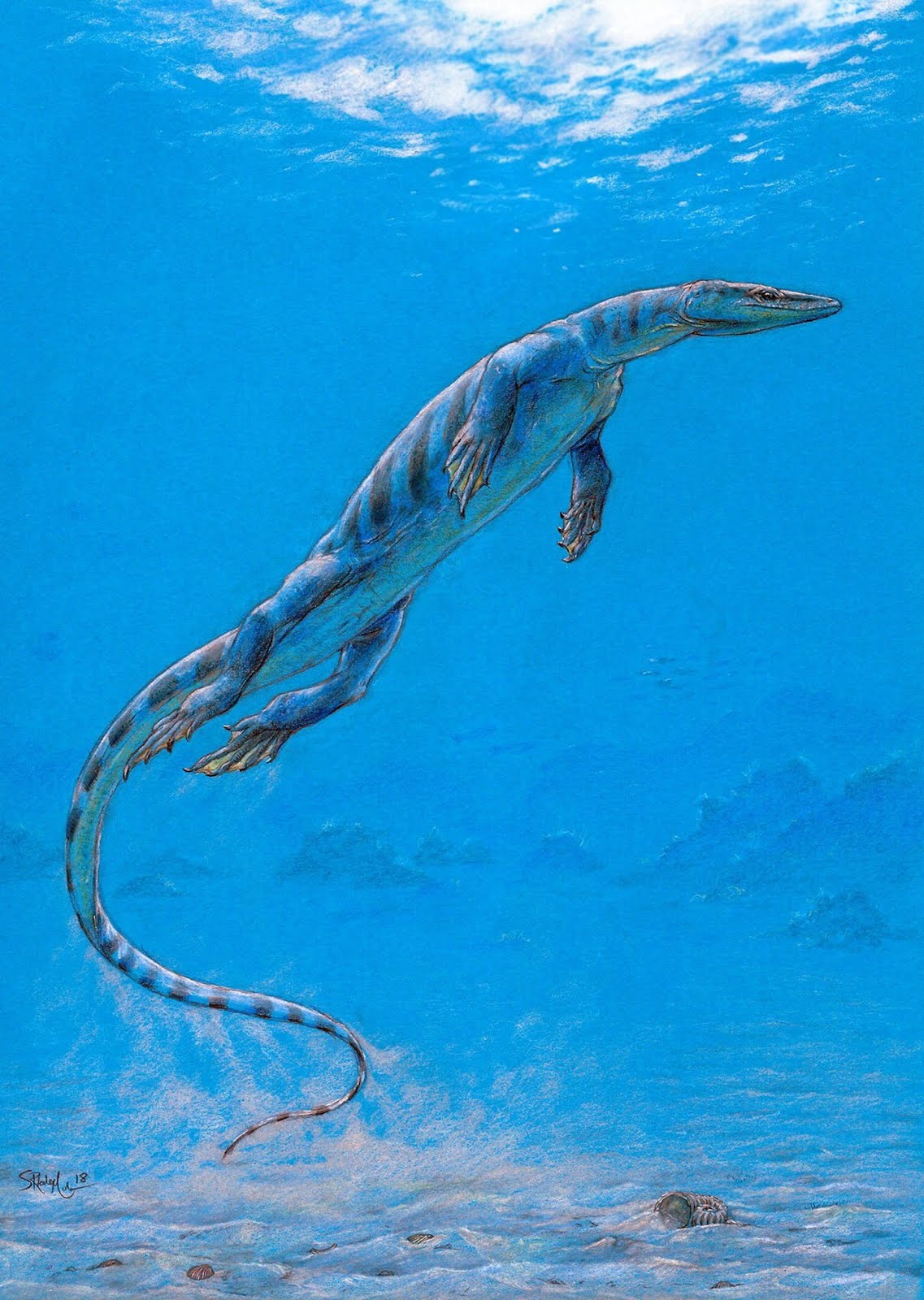 Species New to Science: [Paleontology • 2019] Portunatasaurus ...