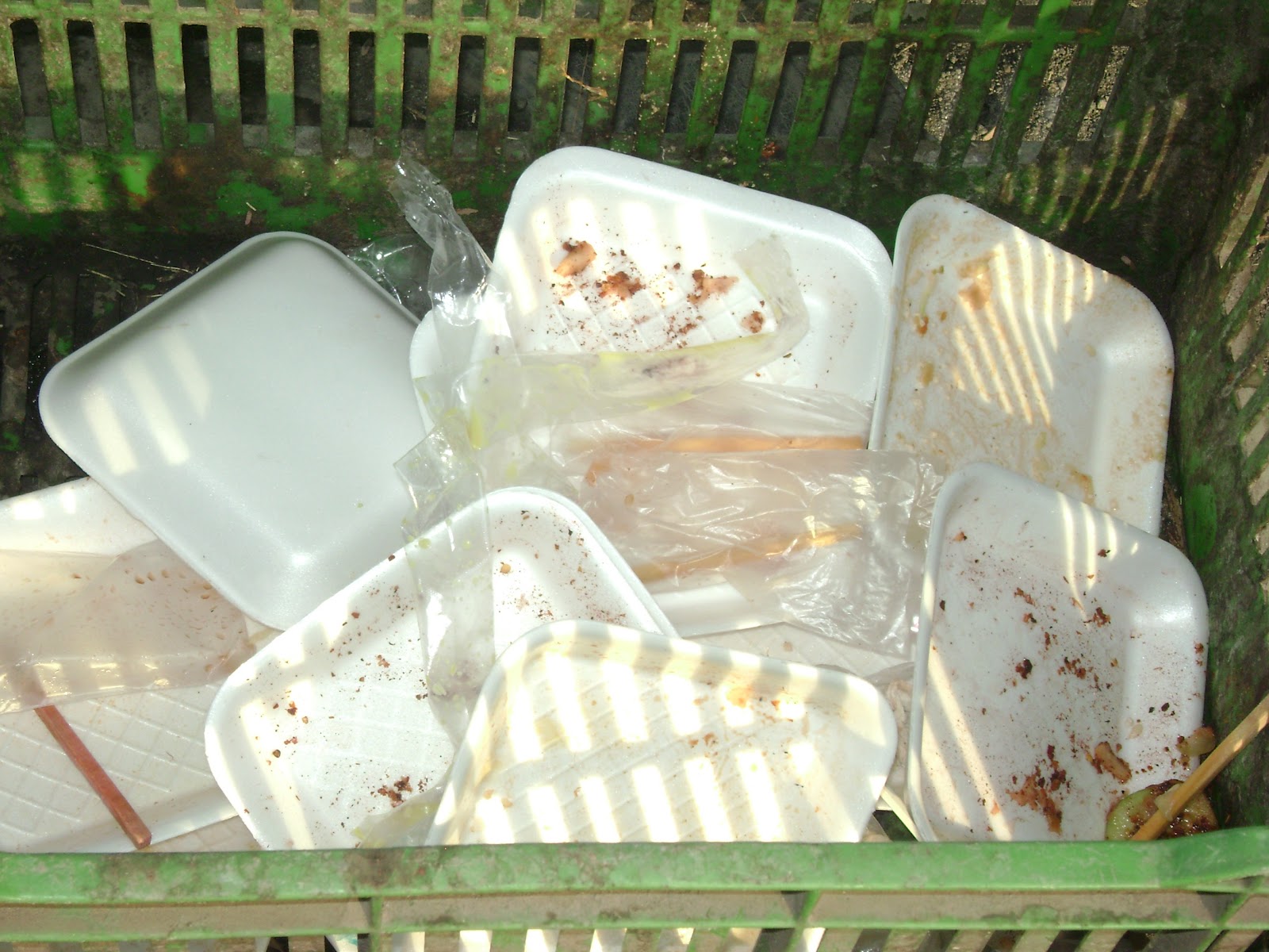 ESCUELA PRIMARIA URBANA FEDERAL EMILIANO ZAPATA TURNO VESPERTINO ...