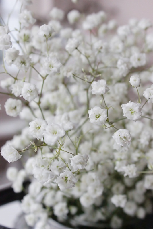 Blue Hortensia: Bijela gipsofila za romantičan štih..