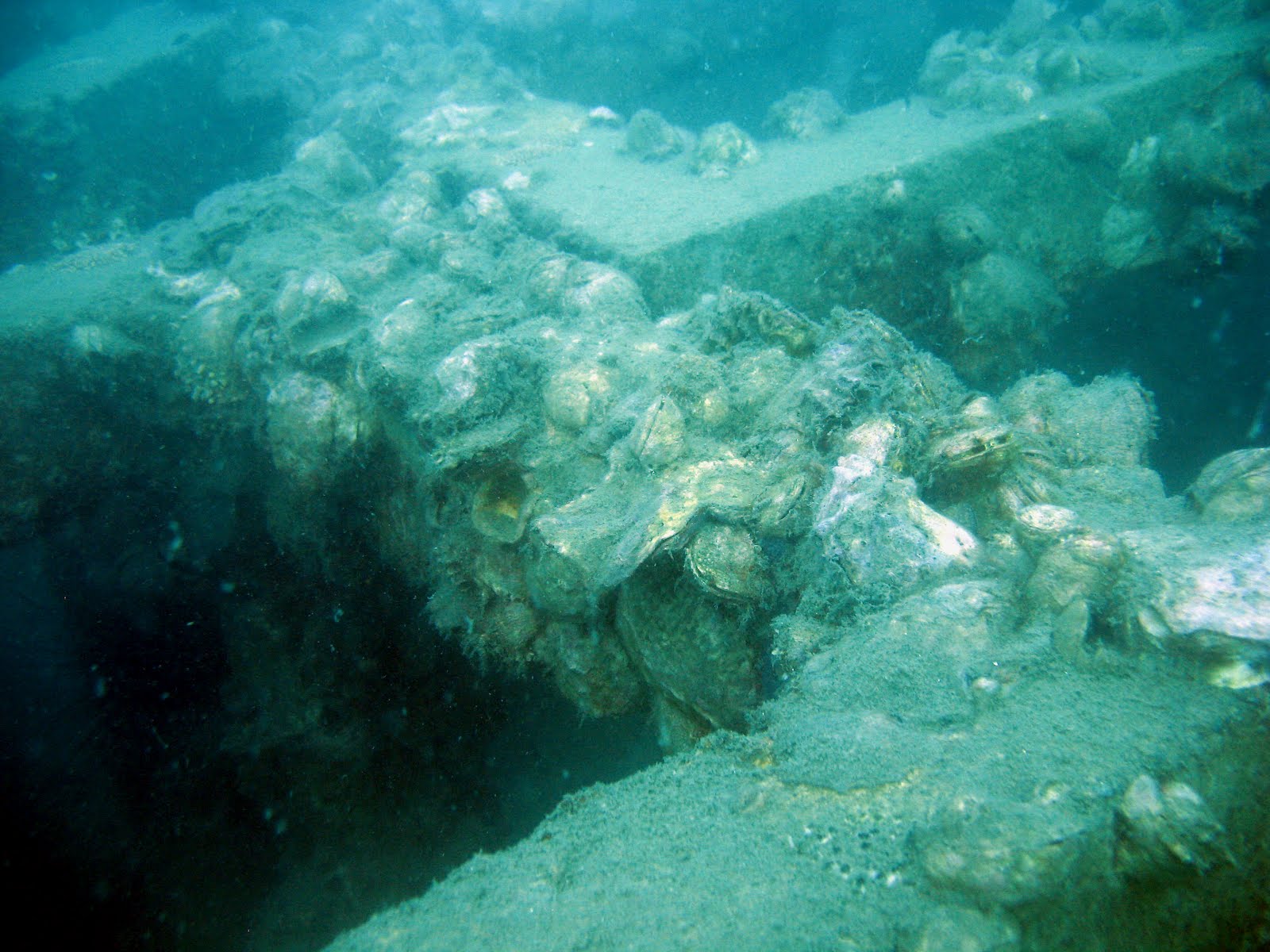 Banate-Barotac Bay Resource Management Council, Inc.