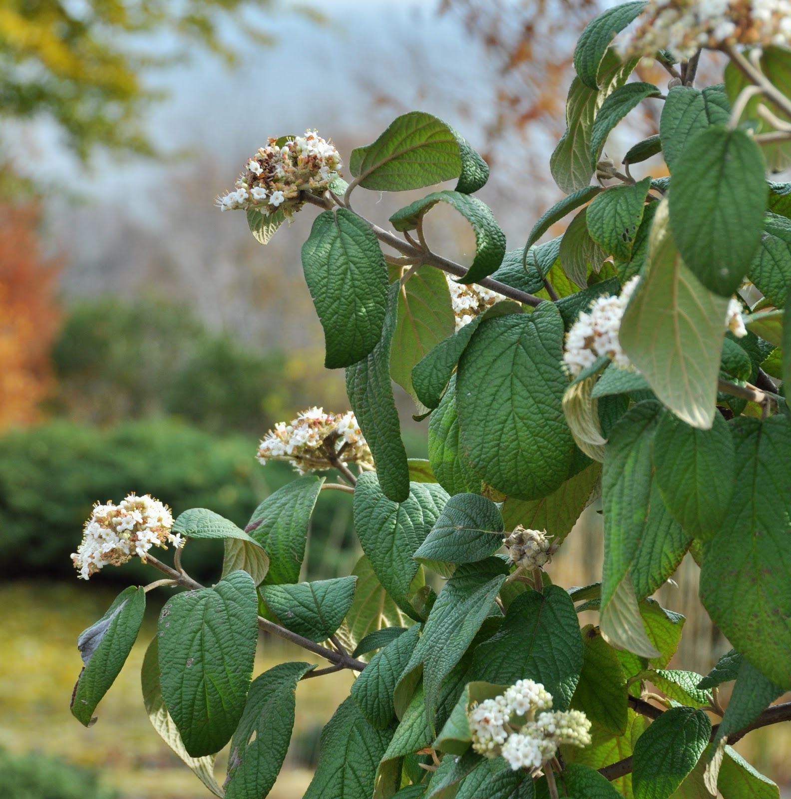 Labyrinth by the Bay