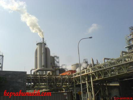 PT. TANJUNG ENIM LESTARI PULP & PAPER (TEL PP) - Prabumulih