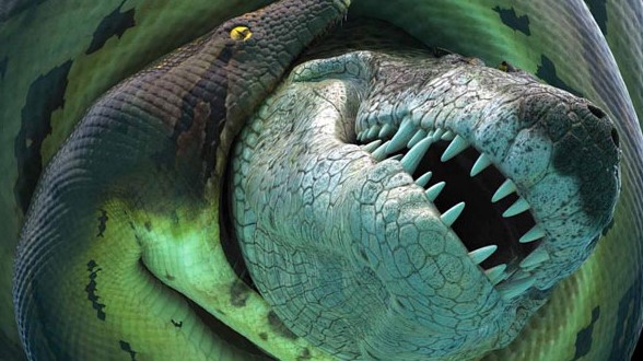 Fakta Mengerikan Titanoboa, Ular Terbesar Yang Pernah Hidup | MATA HATI
