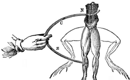 Los salvajes experimentos de Giovanni Aldini:¿Cuando nacio Frankenstein ...