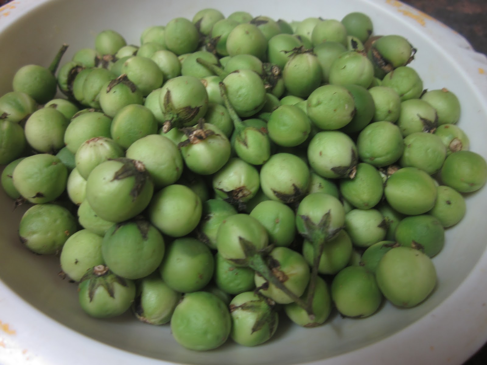 AAHA bhavan: Chundakka Vathakozhambu