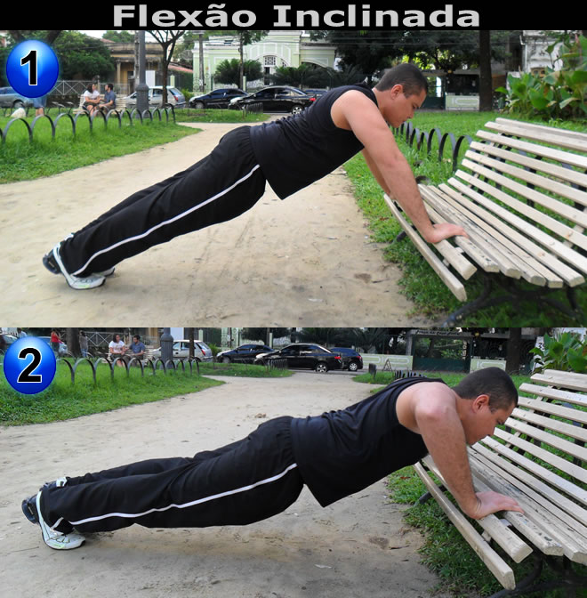 EXERCICIOS CASEIROS - PARTE 1 - (FLEXÕES E TRÍCEPS)::::