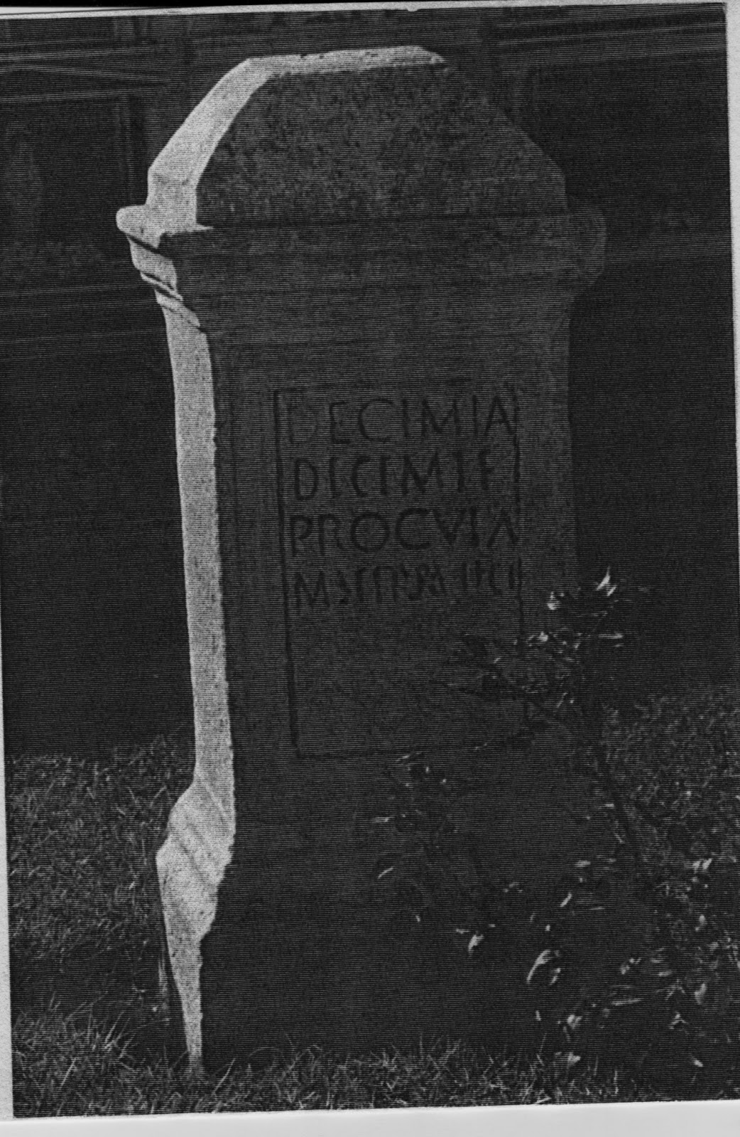 Francisco Baquero Luque: NACE LA PLATAFORMA, CLAUDIA PRÓCULA