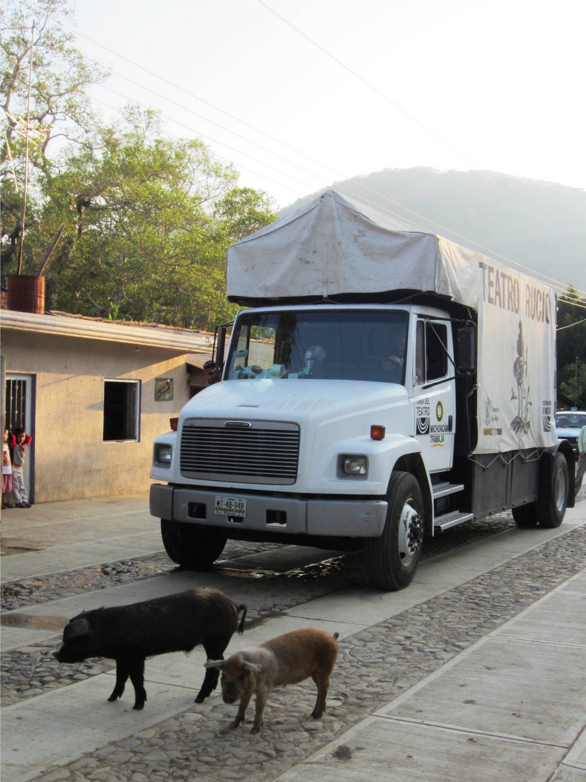 Las andanzas de Rucio y Rocinante