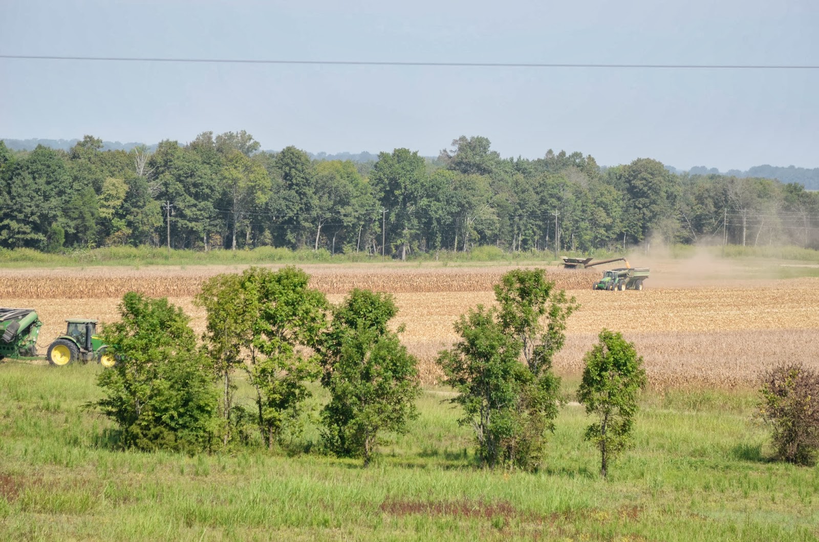 Dee River Ranch: Corn Harvest 2013 in Photos