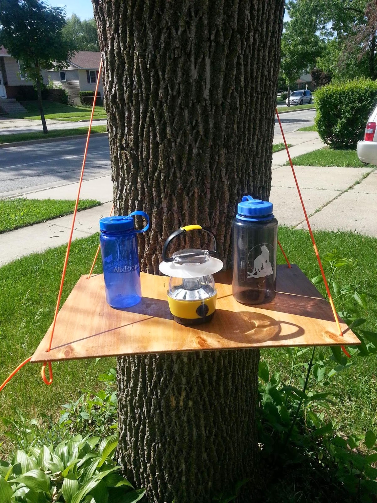 Paddle Making (and other canoe stuff): Wanigan Lid Tree Shelf
