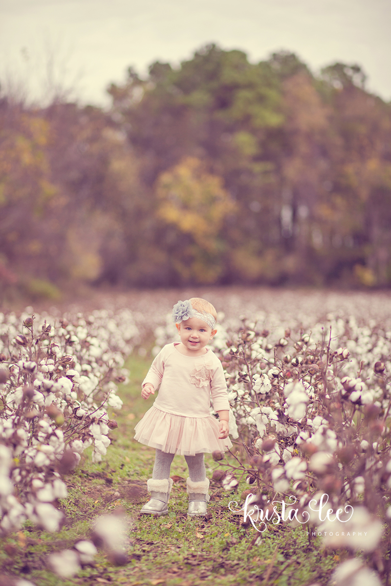 Krista Lee Photography