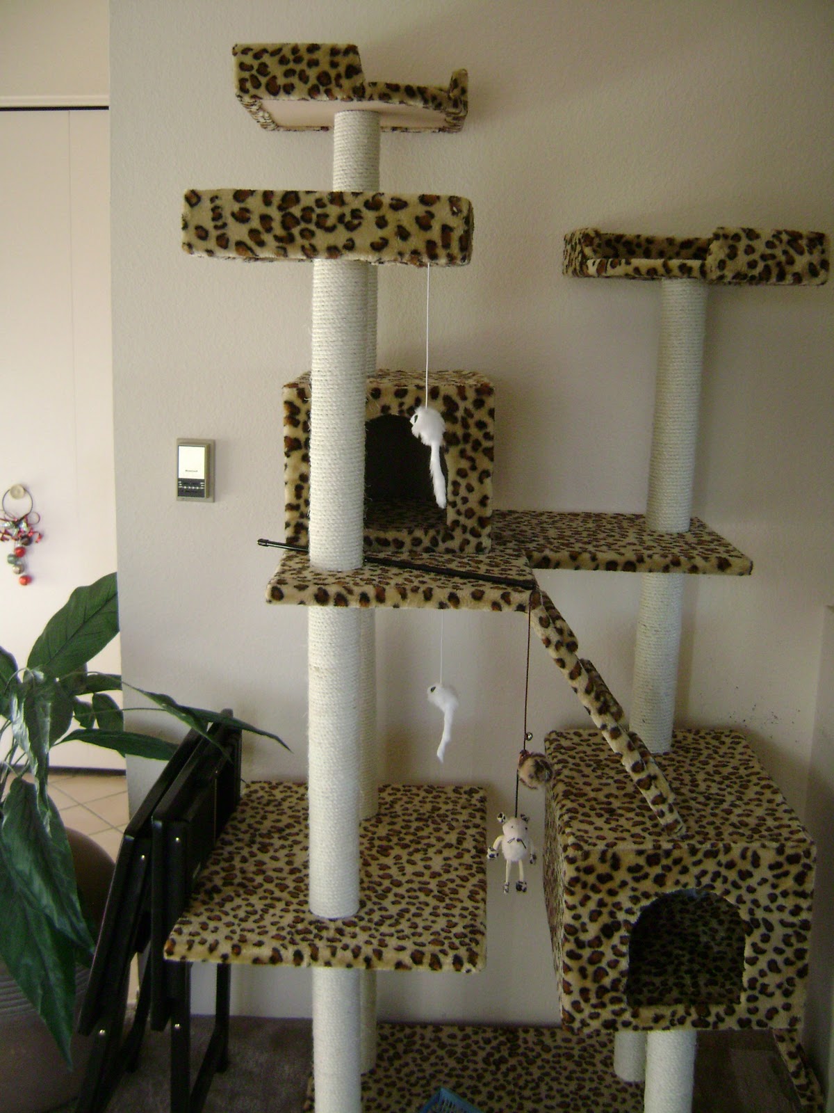 Inside Looking Out Albuquerque: The ultimate cat tree