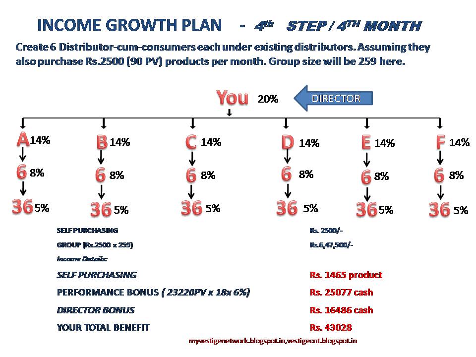 Vestige Digital Network: INCOME GROWTH PLAN