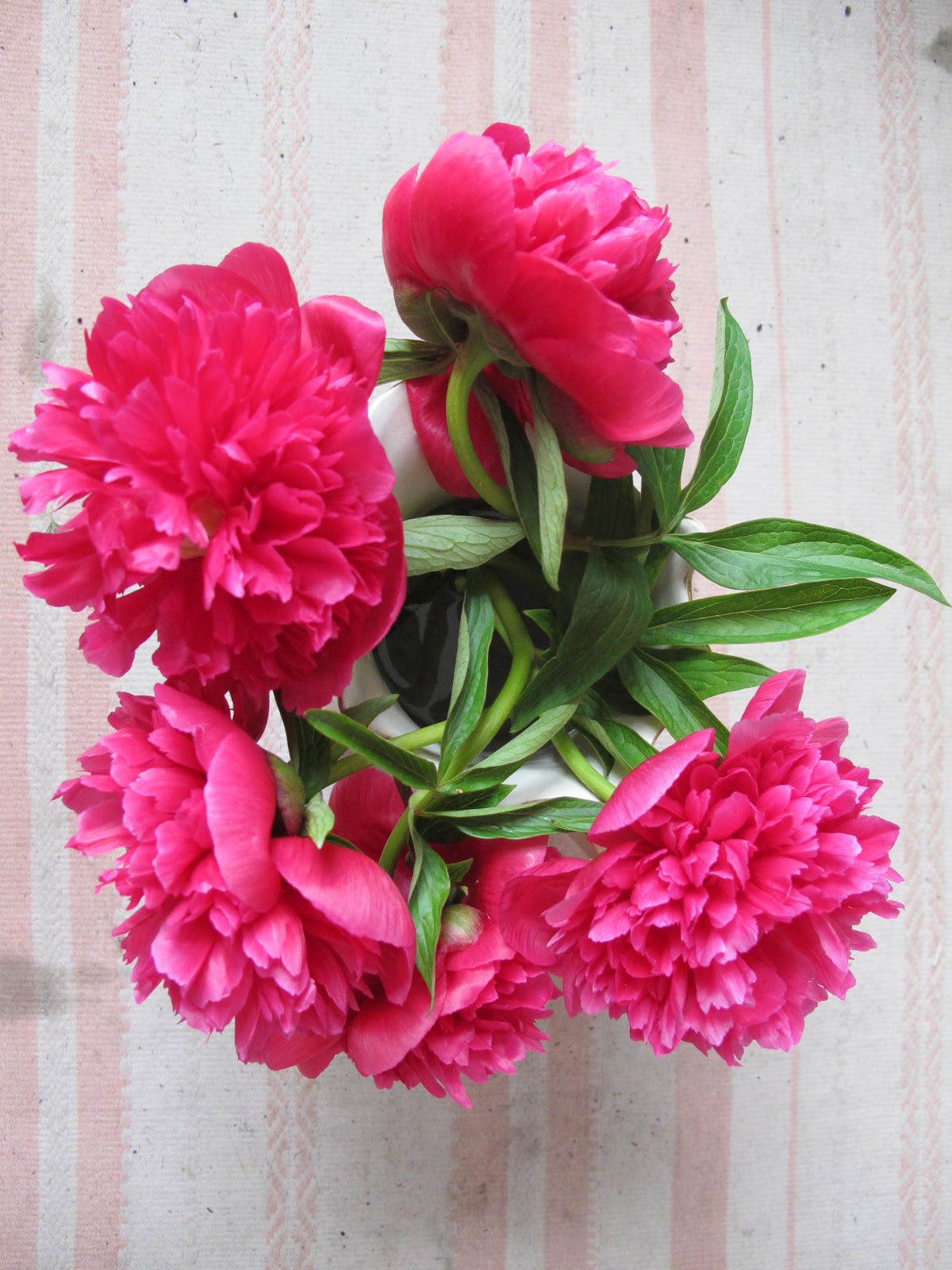 The Flower Appreciation Society: Oh my gosh, English Peonies to die for