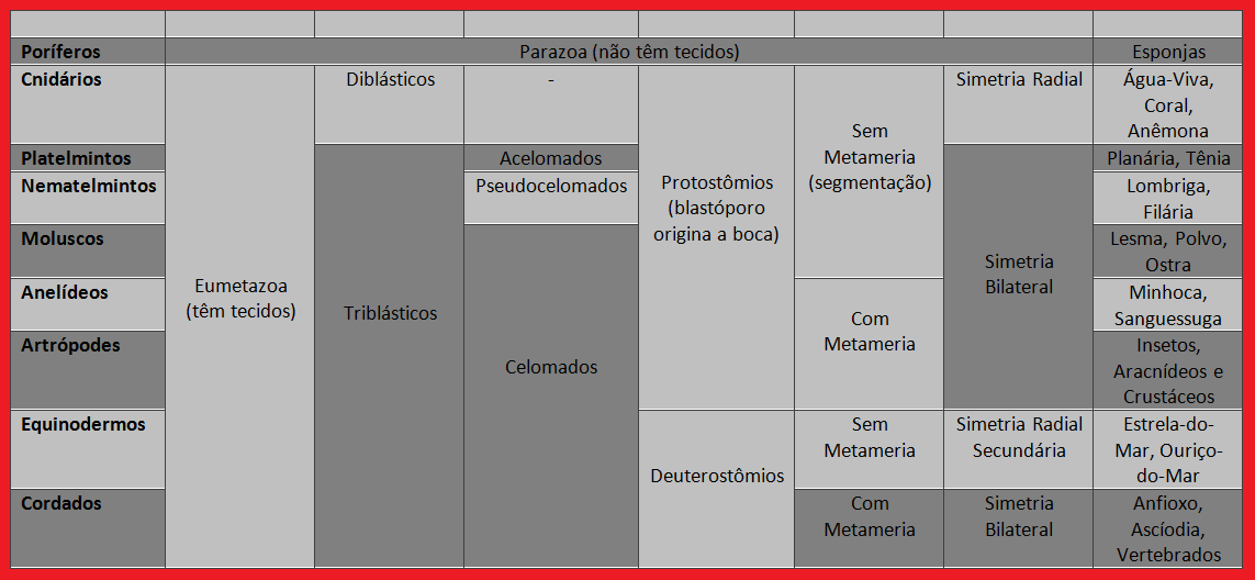 3º ANO - COLÉGIO ESPANHOL SANTA MARIA CIDADE NOVA: Tabela Biologia