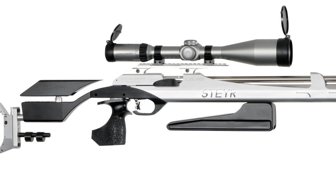 Air Rifle: Rifles de tiro al blanco y Rifles de aire de caza