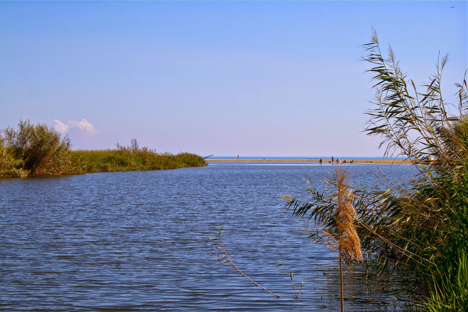 Alappedi: Fiume San Leonardo. Lentini