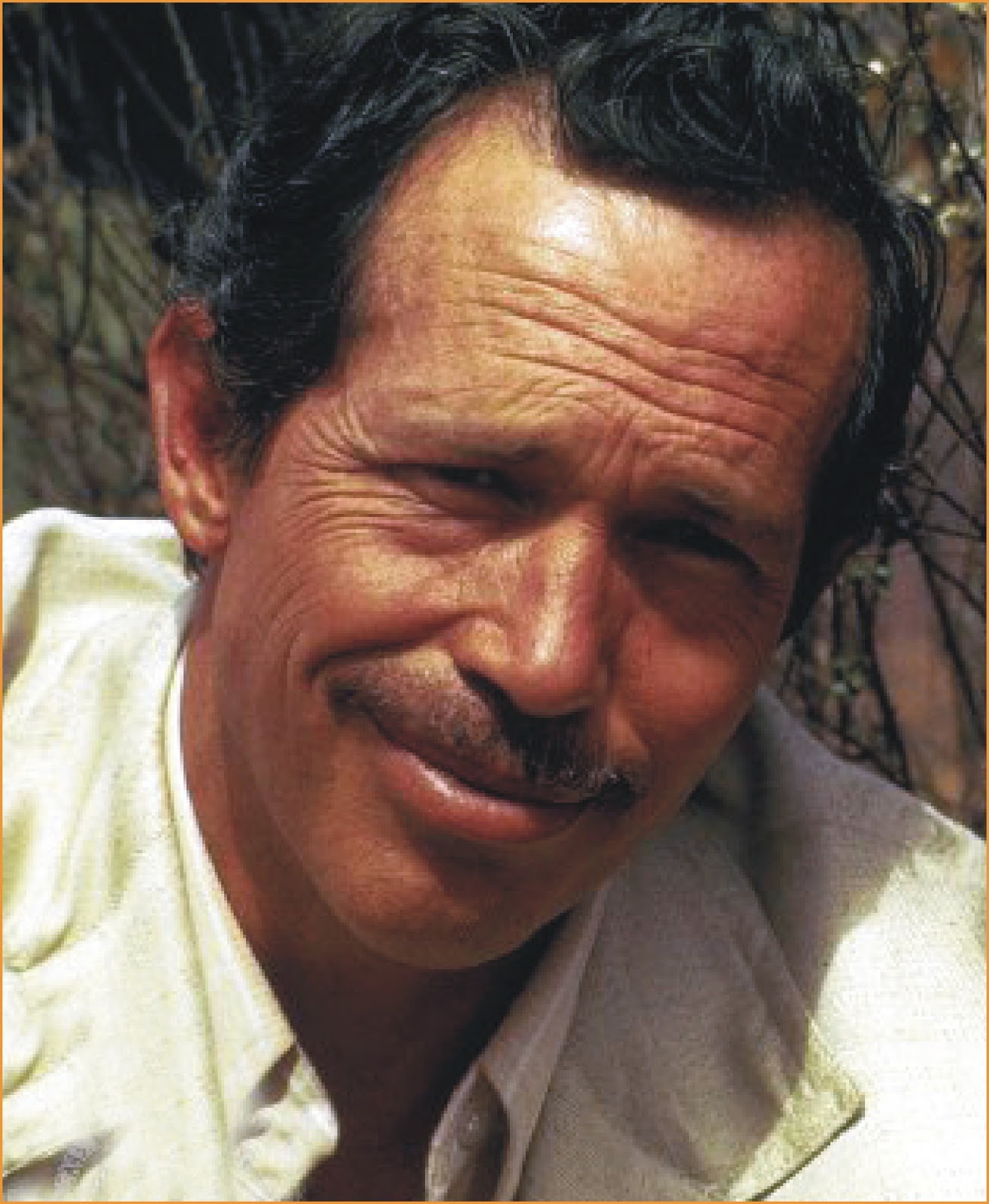 WESTERNCINEMANIA: WARREN OATES, O MAIS CULTUADO ATOR DA CONTRACULTURA ...