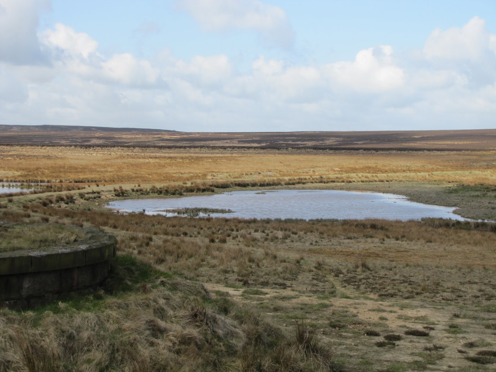 Trev's travails: Shillito Wood