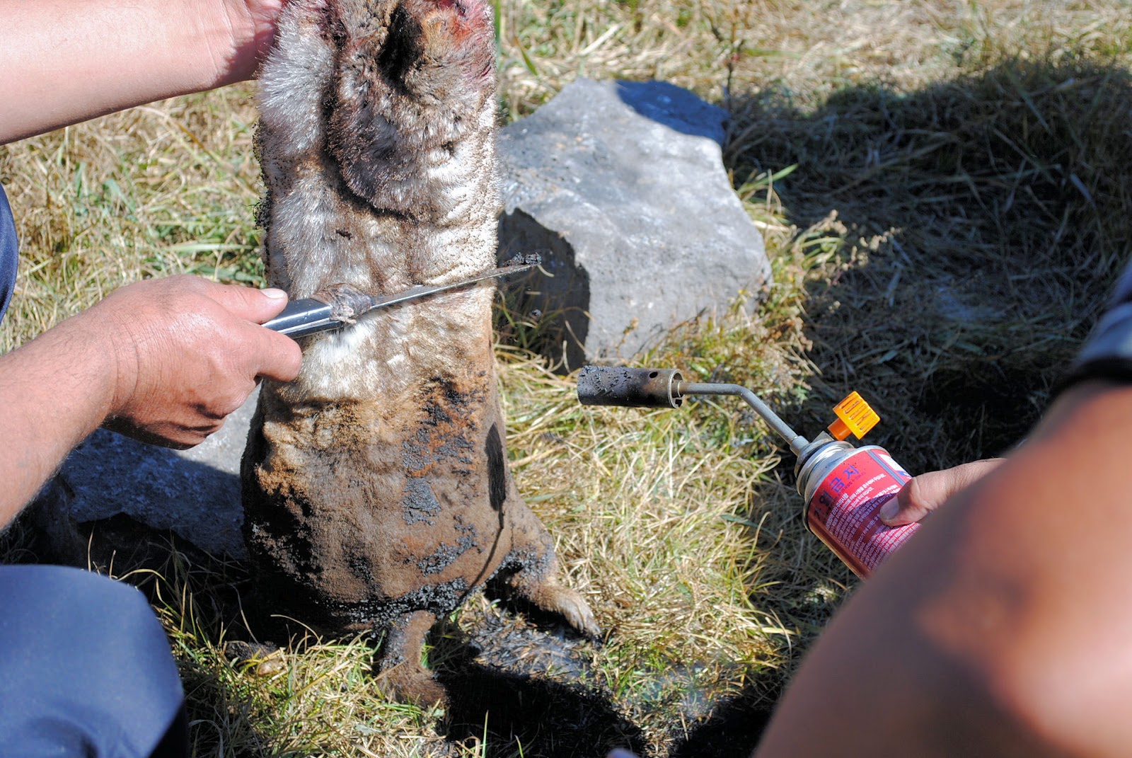 Norm Crisp on Fly Fishing and his Travel Adventures: MARMOT: IT'S WHATS ...