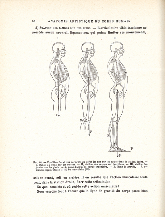 Research of Artistic Anatomy: Paul Richer “Nouvelle Anatomie artistique ...