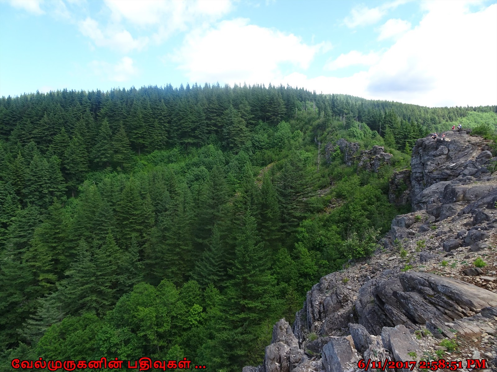 Angels Rest Hiking Oregon - Exploring My Life