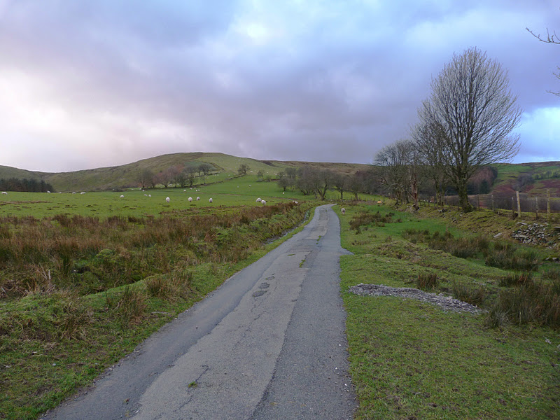 A Welsh man walking.: #3.FOEL GOCH,ARENIG'S.7-1-12.