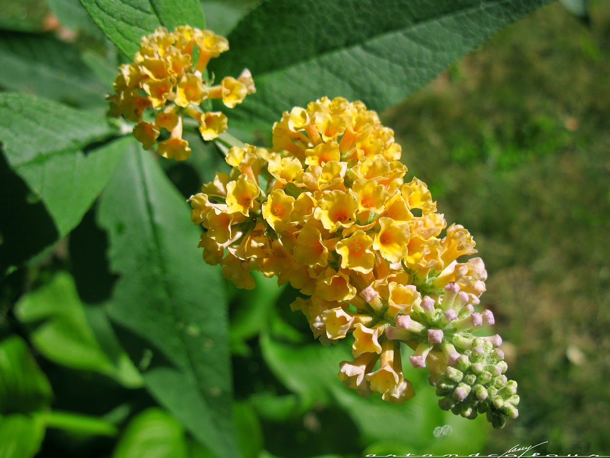 casey/artandcolour: 2014