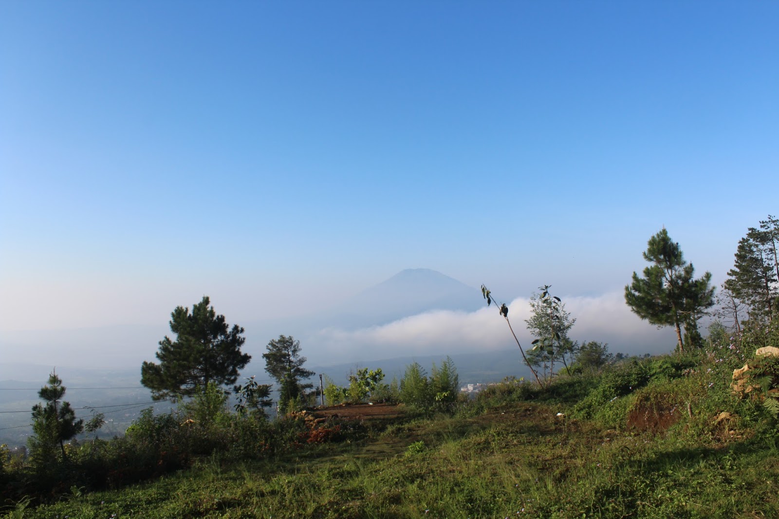 Wisata Kemping Keluarga di Base Camp Mawar Ungaran, Semarang | GaBohong