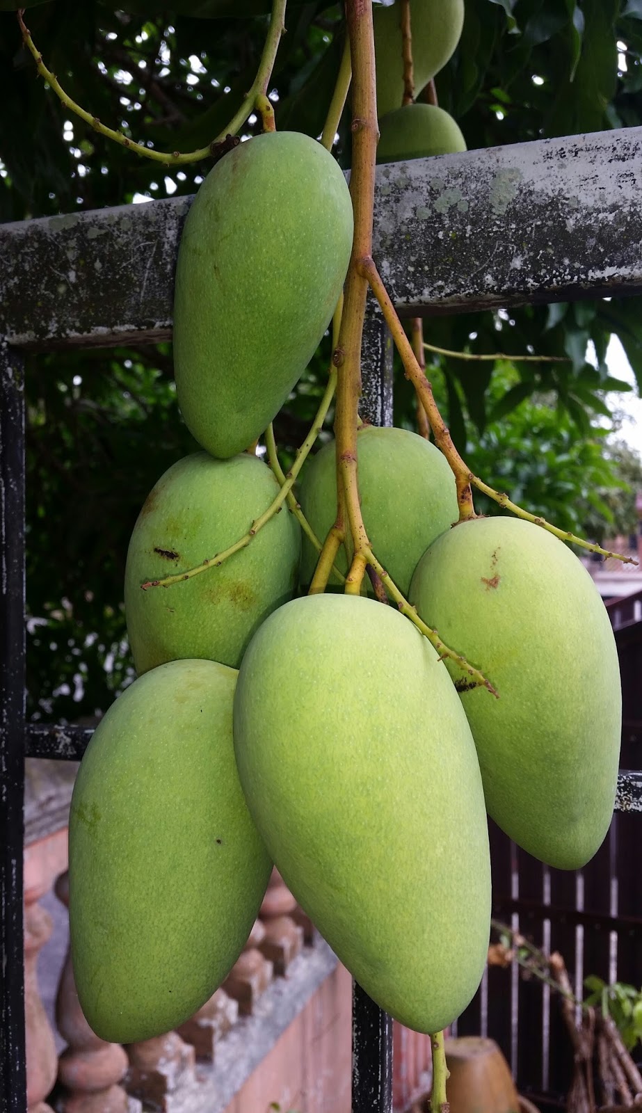 Warisan Petani: Julai 2016