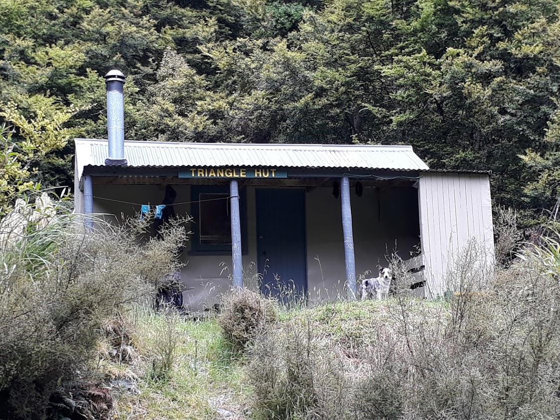 Ruahine Street Ramblers: Triangle Hut