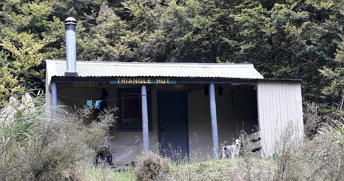 Ruahine Street Ramblers: Triangle Hut